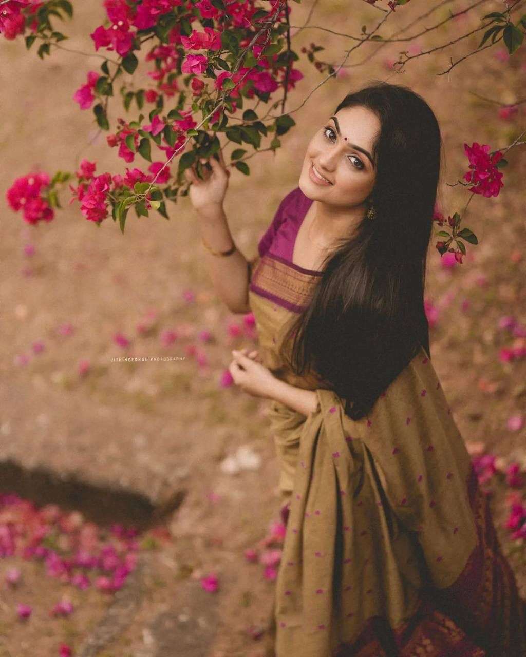 Chikku Color Soft banarasi silk with Party wear saree collection